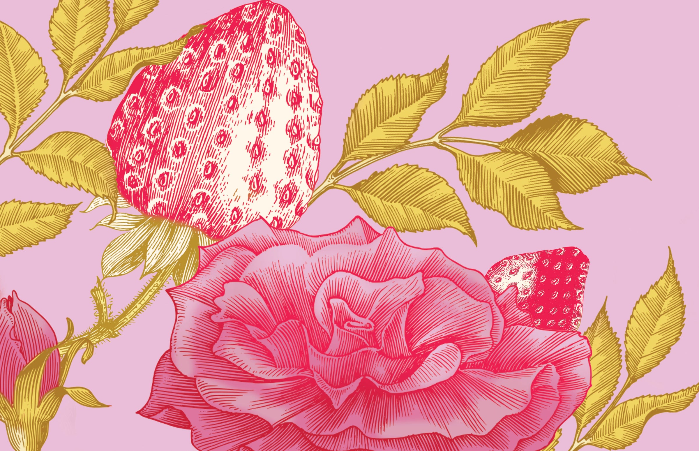 Lloyd Brothers Original Illustration on Canvas - Rose
